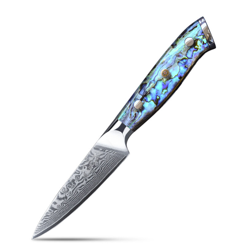 WCK Kitchen Knife Supply Best Damasucs Steel Paring Knife + Wholesale